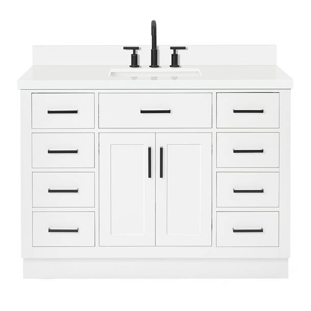 Wildon Home® Shildon 49 Single Bathroom Vanity With White Quartz Top